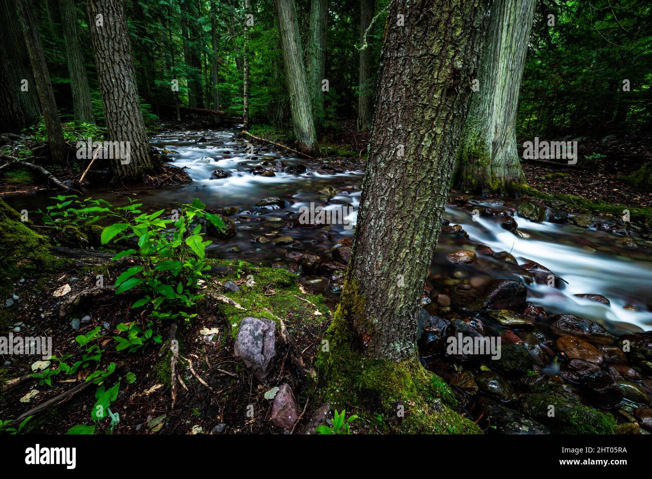 Stunning view of Jackson Creek in Glacier National Park, Montana Stock ...