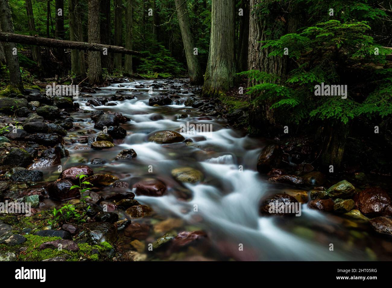 Stunning view of Jackson Creek in Glacier National Park, Montana Stock ...