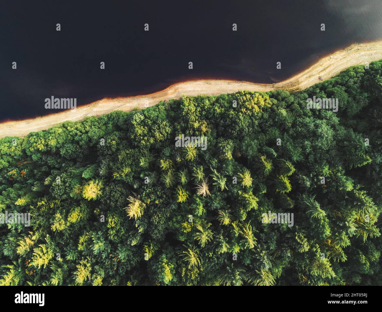 Top view of forest by the beach Stock Photo - Alamy