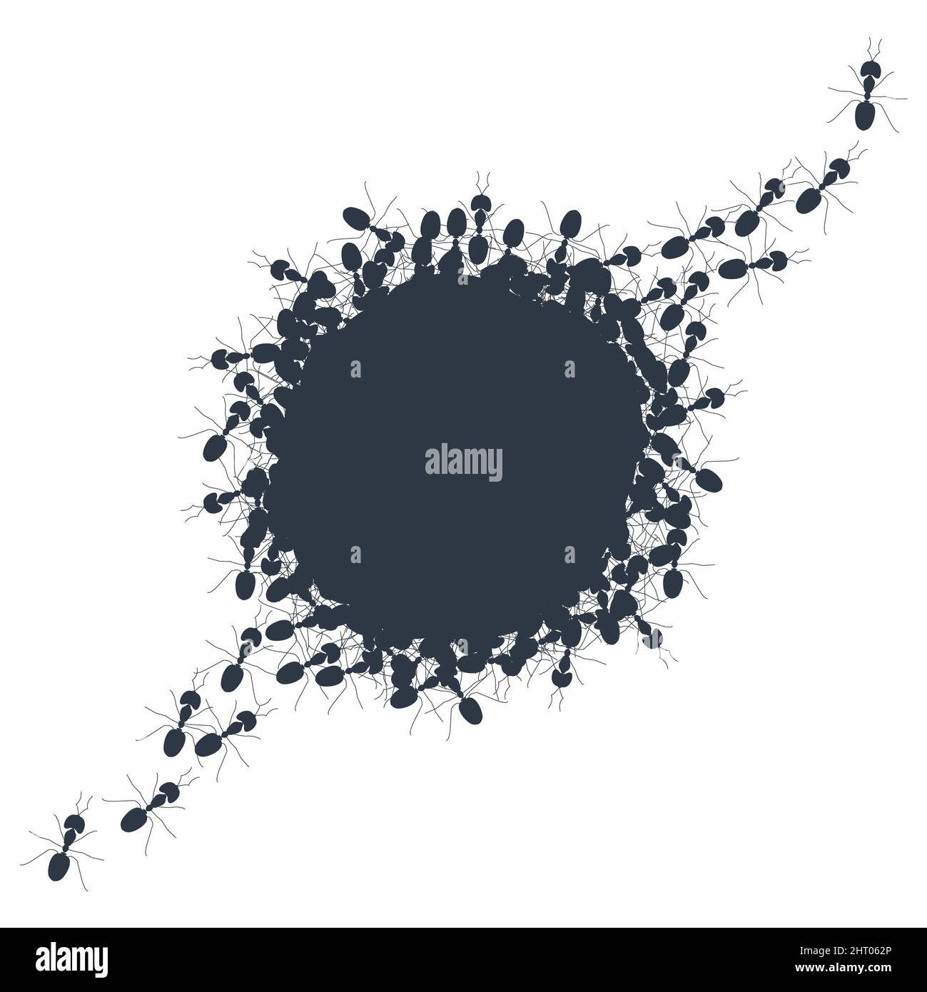 Row of ants Cut Out Stock Images & Pictures - Alamy