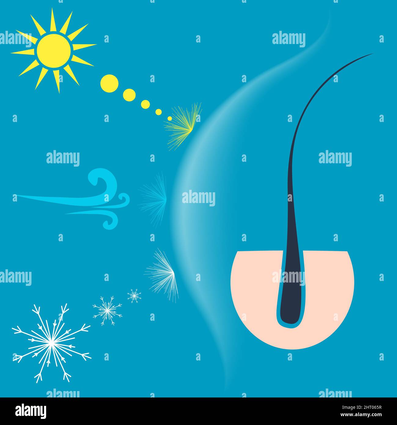 Hair protection, conceptual illustration Stock Photo - Alamy