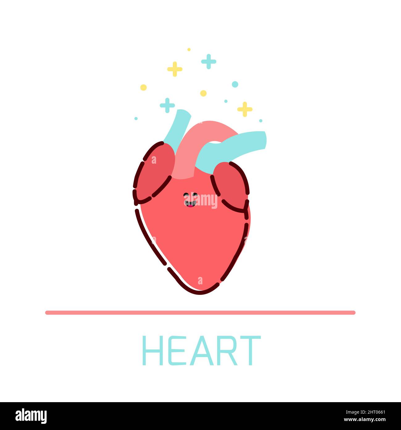 Healthy heart, conceptual illustration Stock Photo - Alamy