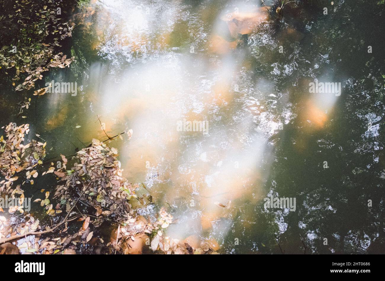 Sunlight reflected on lake hi-res stock photography and images - Alamy