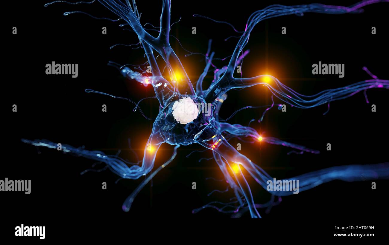 Active nerve cell, illustration Stock Photo - Alamy