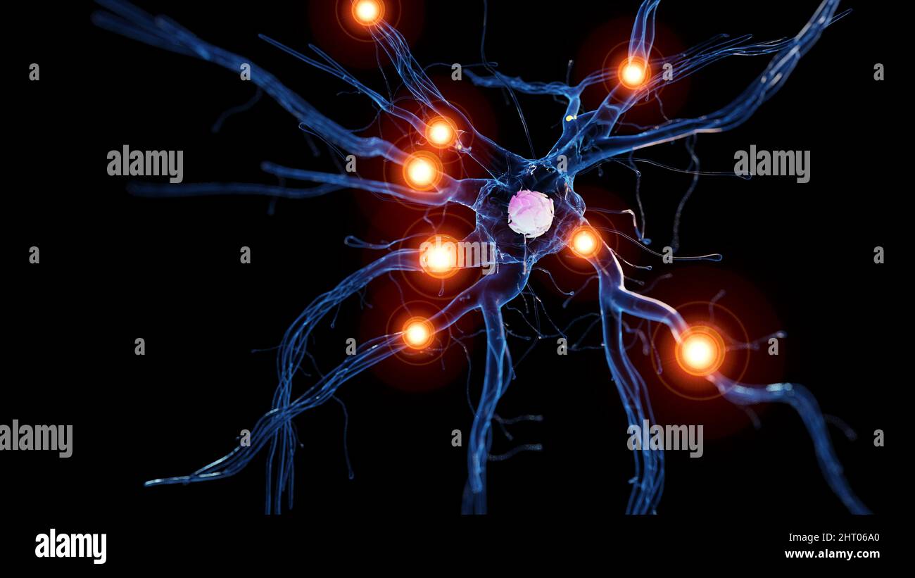 Active nerve cell, illustration Stock Photo - Alamy
