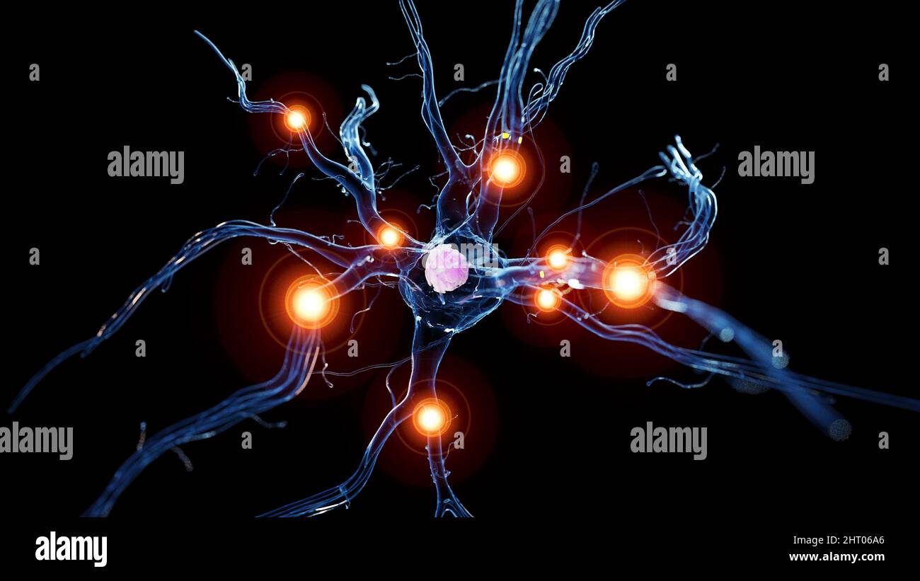Active nerve cell, illustration Stock Photo - Alamy