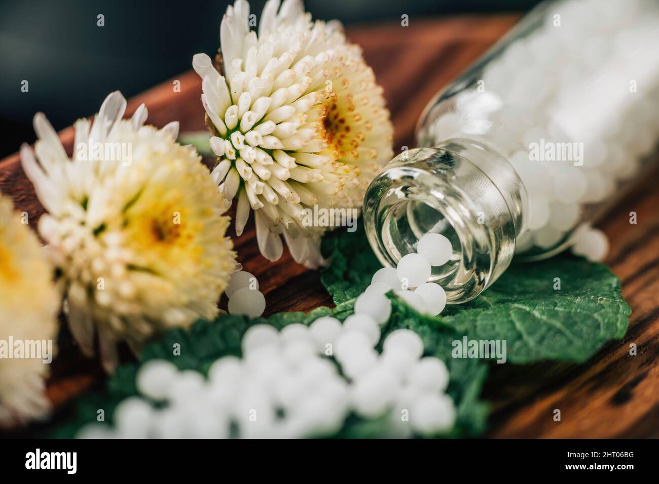 Homeopathic flowers hi-res stock photography and images - Alamy