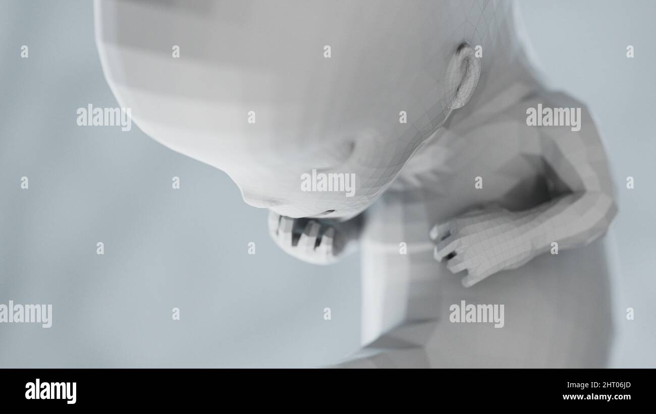 Human fetus at week 11, illustration Stock Photo - Alamy