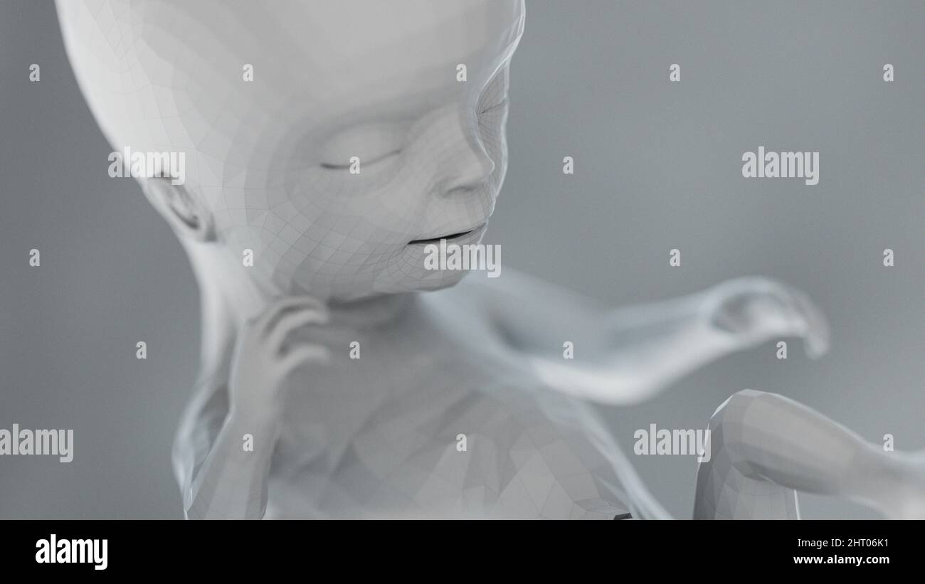 Pregnancy week 14 hi-res stock photography and images - Alamy