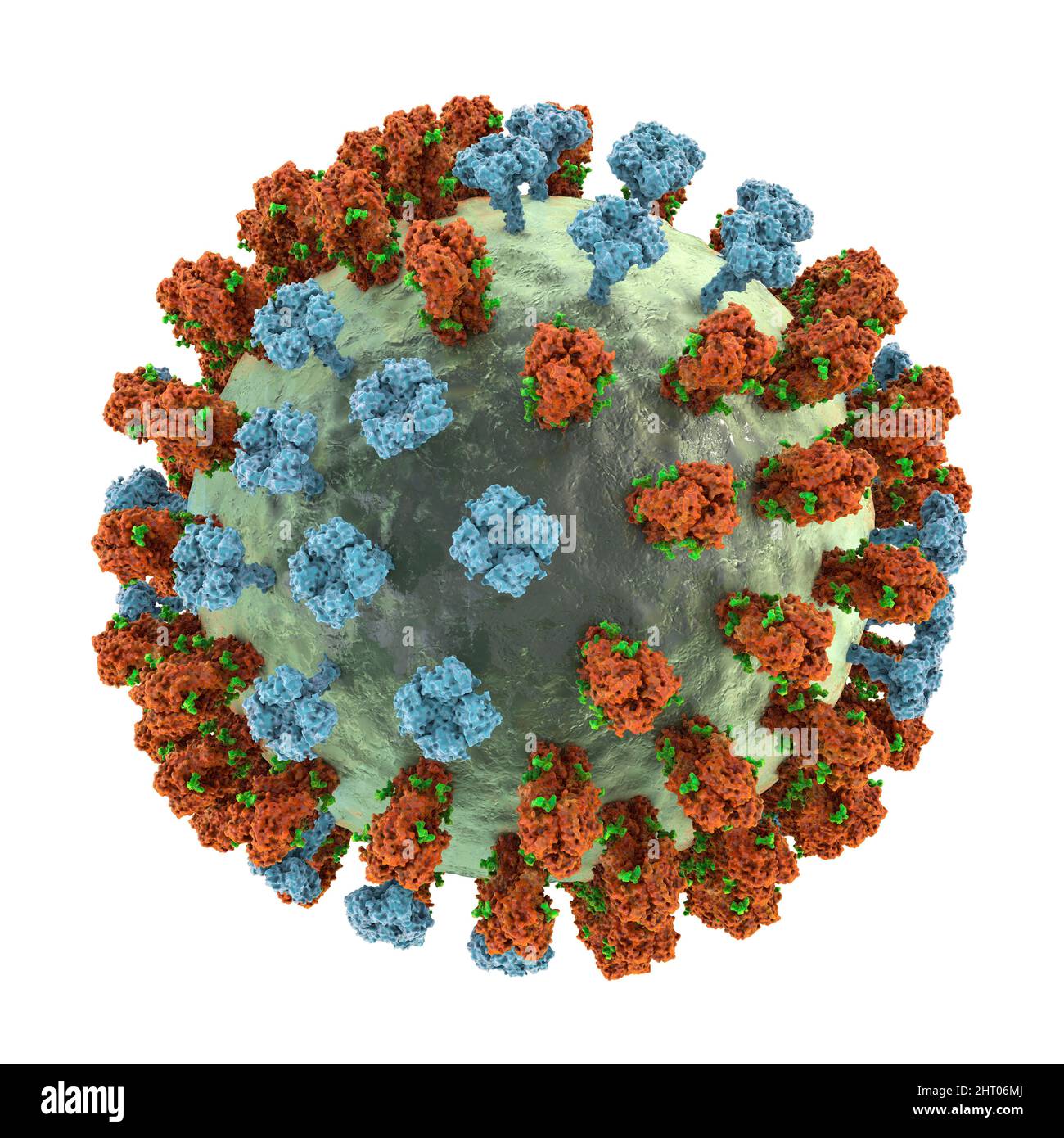 Flu virus, illustration Stock Photo - Alamy