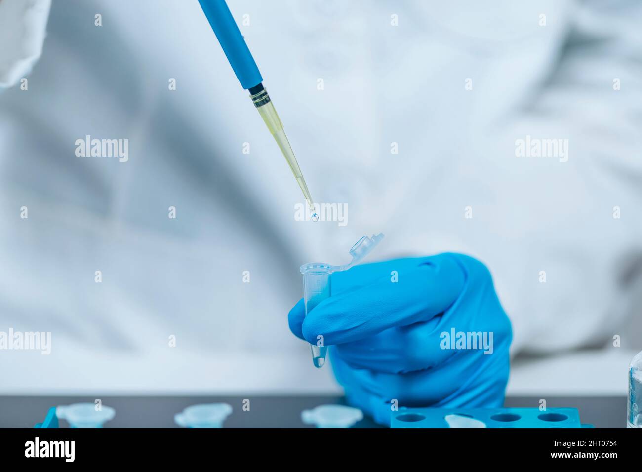 Laboratory technician pipetting liquid Stock Photo - Alamy