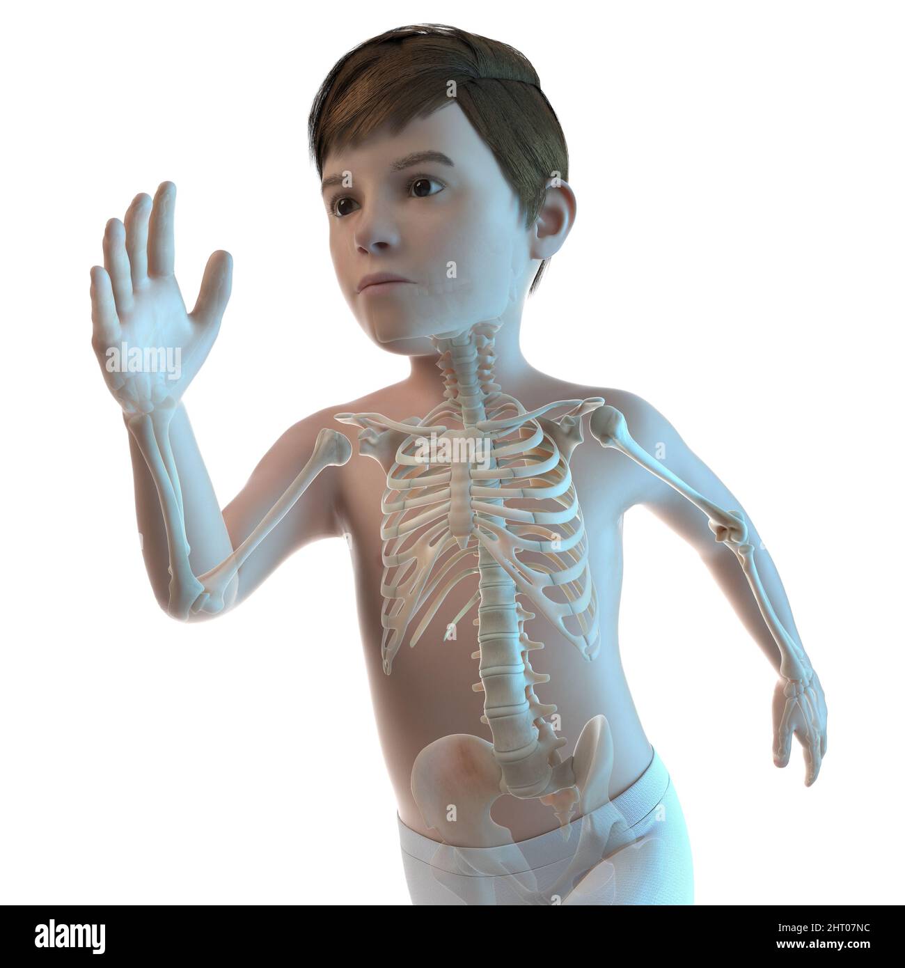 Illustration of a boy's chest Stock Photo - Alamy