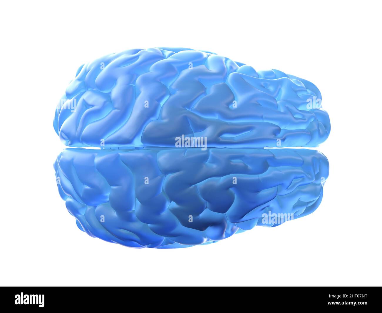Illustration of a blue brain Stock Photo - Alamy