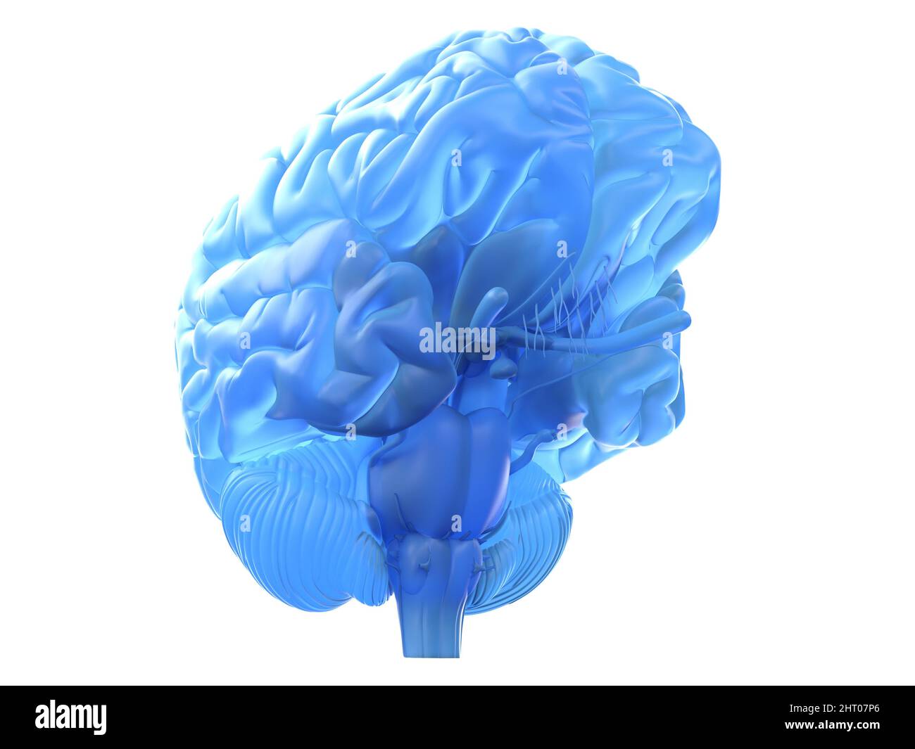 Illustration of a blue brain Stock Photo - Alamy
