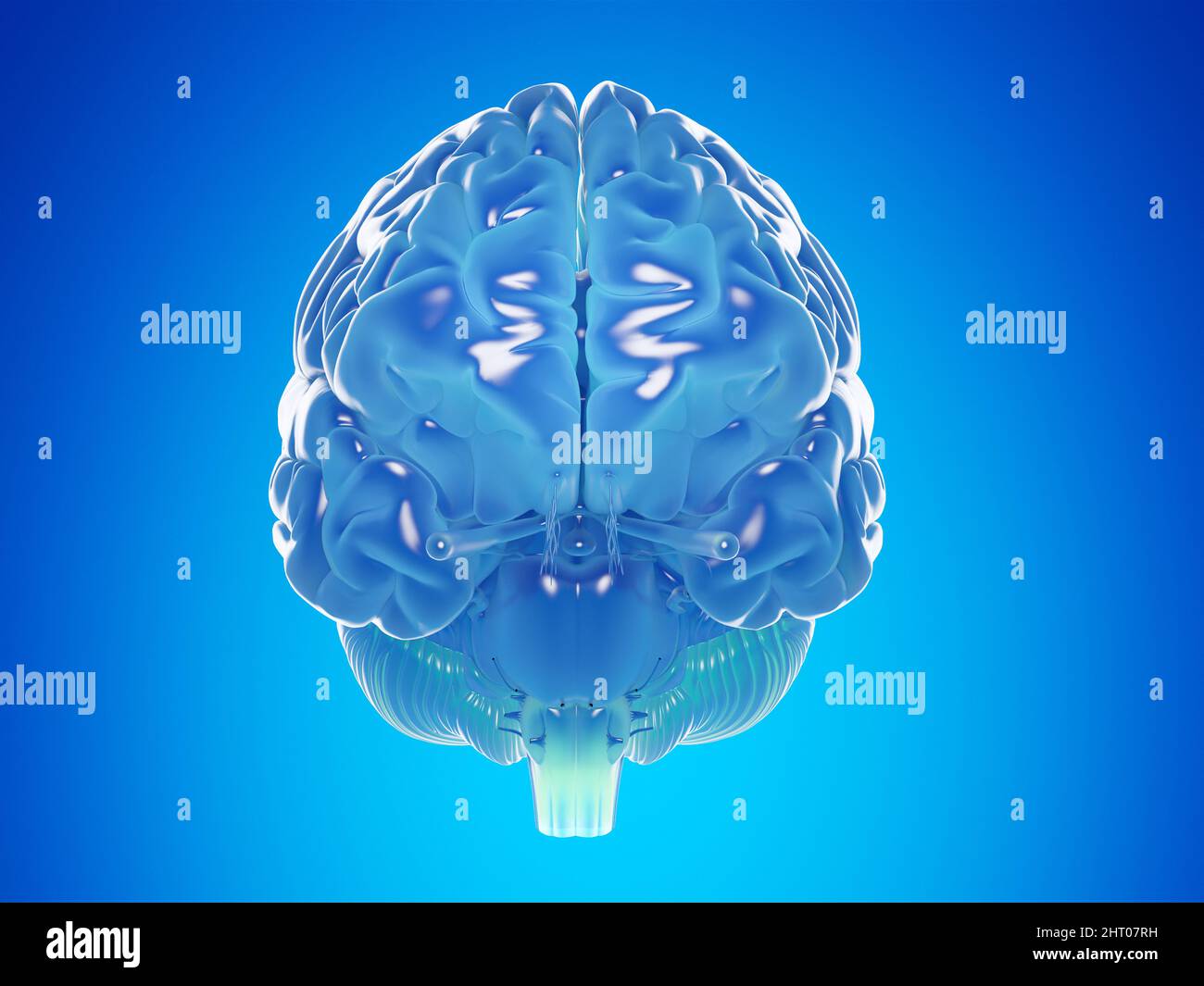 Illustration of a blue brain Stock Photo - Alamy