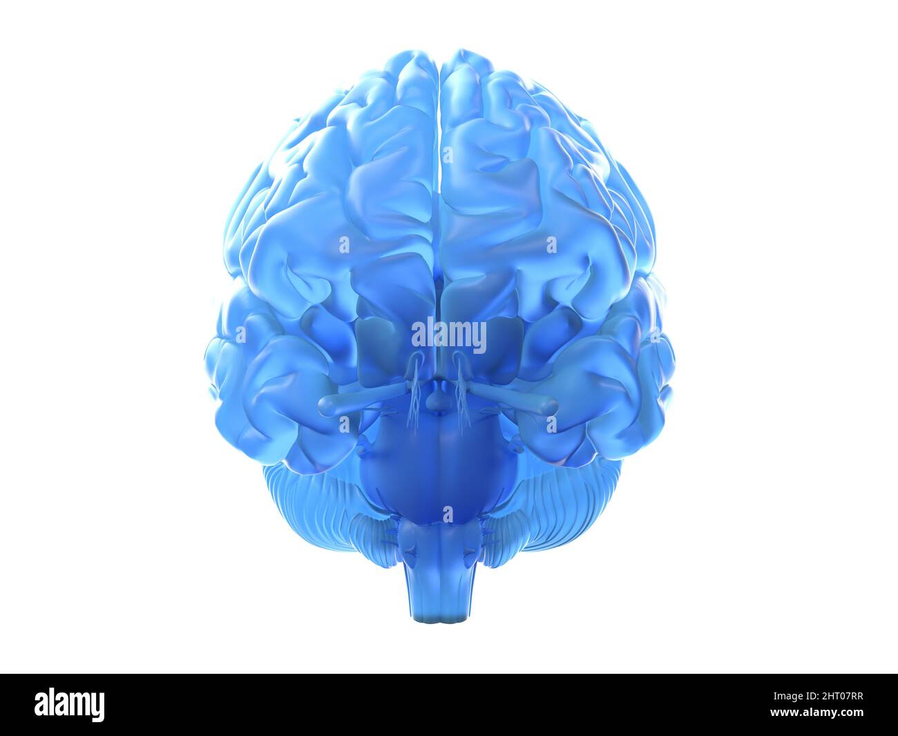Illustration of a blue brain Stock Photo - Alamy