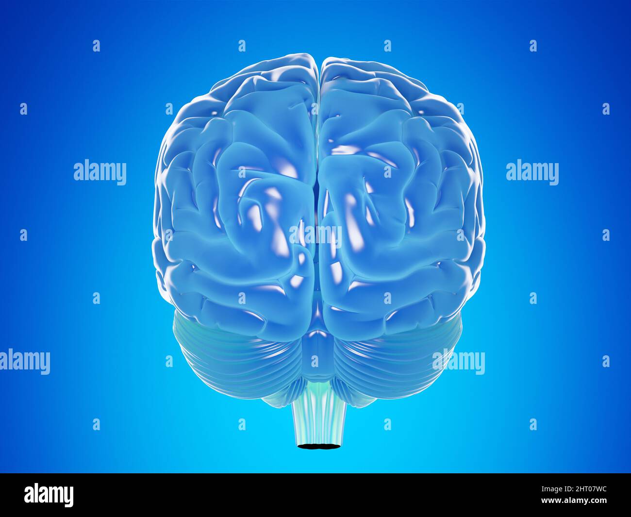Illustration of a blue brain Stock Photo - Alamy