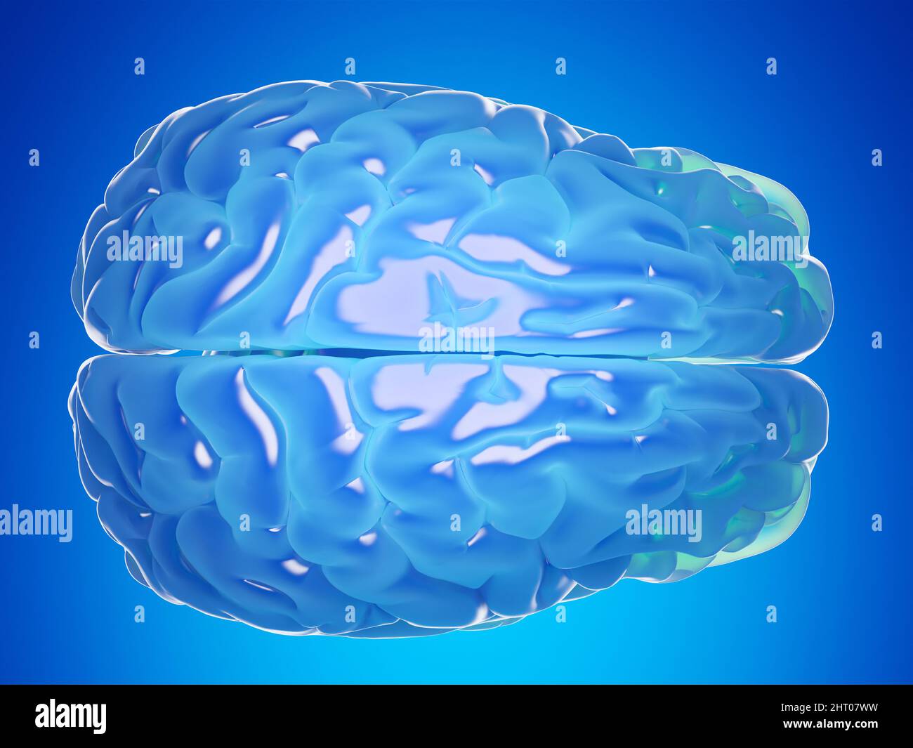 Illustration of a blue brain Stock Photo - Alamy