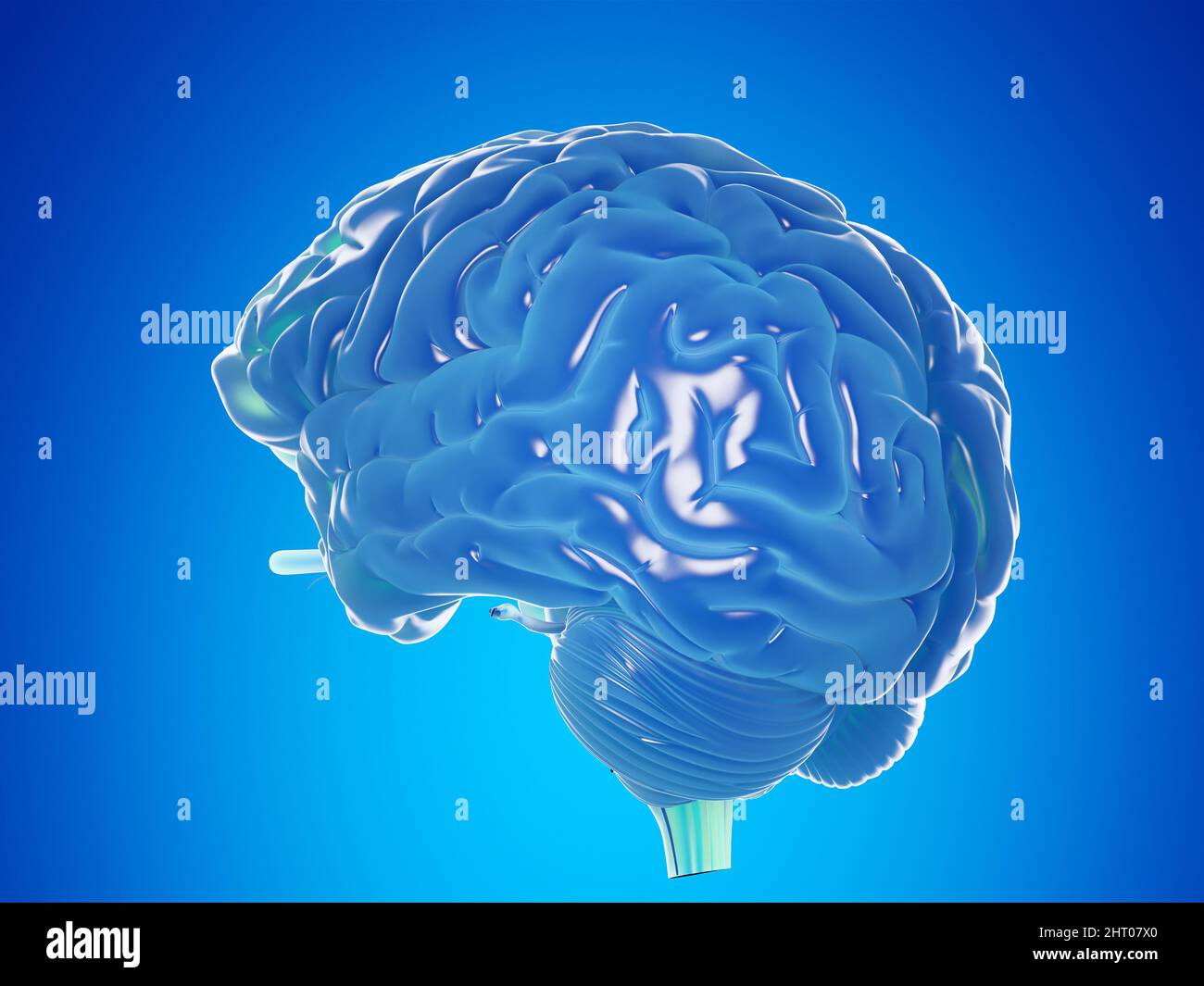 Illustration of a blue brain Stock Photo - Alamy