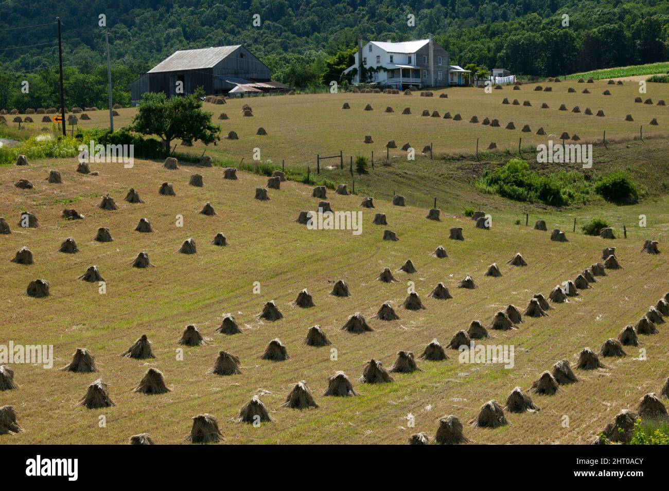Baled hay on an Amish farm. Mifflin County, Pennsylvania, USA Stock ...