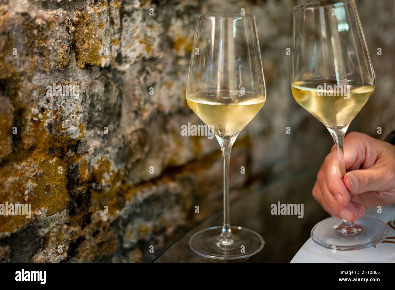 Tasting of brut champagne sparkling wine produced by traditional method in underground caves ...