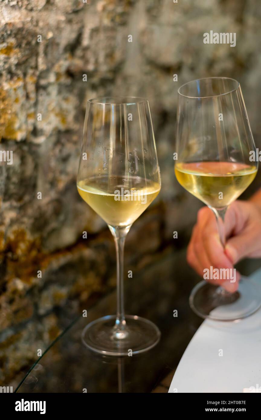Tasting of brut champagne sparkling wine produced by traditional method in underground caves ...