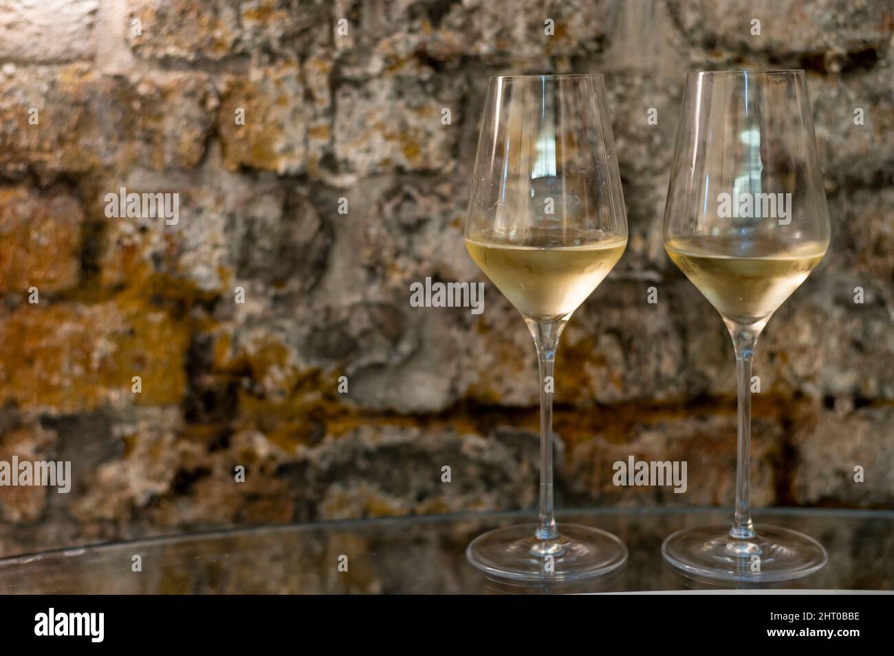Tasting of brut champagne sparkling wine produced by traditional method in underground caves ...