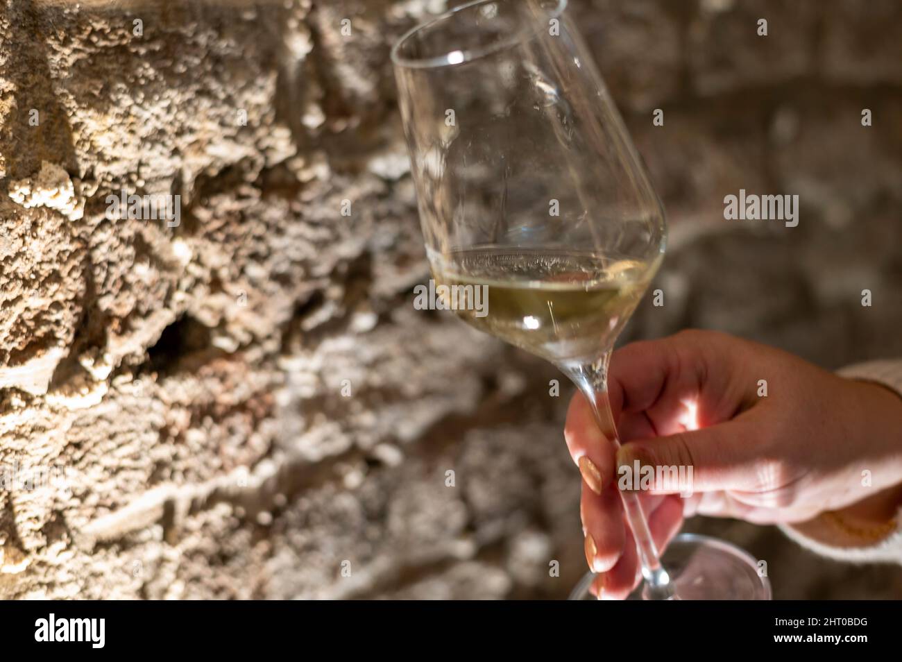 Tasting of brut champagne sparkling wine produced by traditional method in underground caves ...