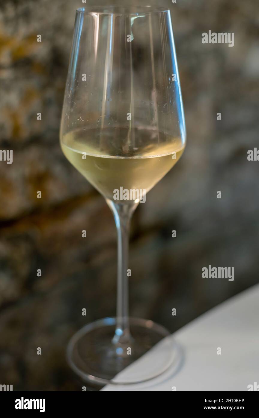 Tasting of brut champagne sparkling wine produced by traditional method ...
