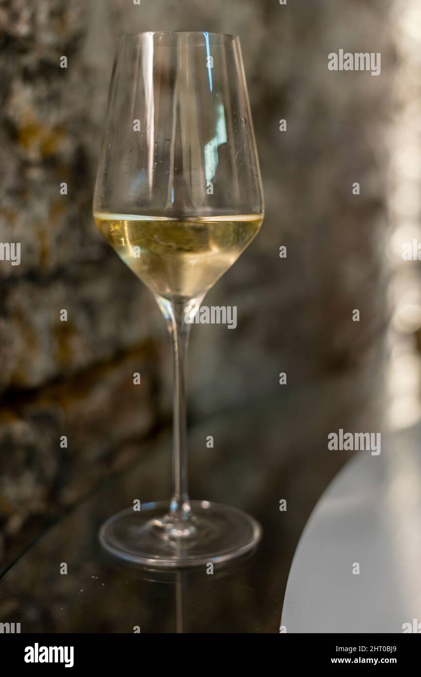 Tasting of brut champagne sparkling wine produced by traditional method ...