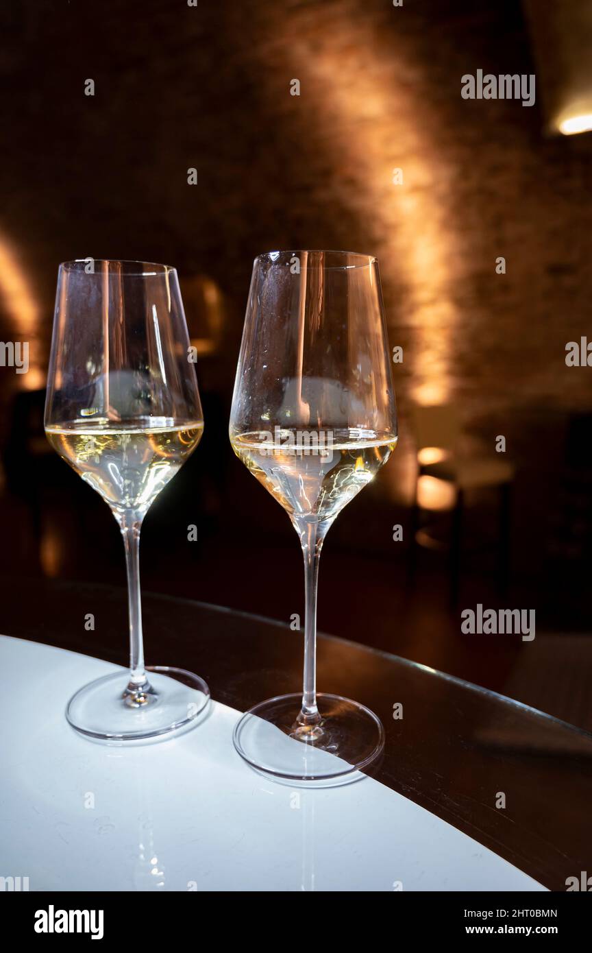 Tasting of brut champagne sparkling wine produced by traditional method ...