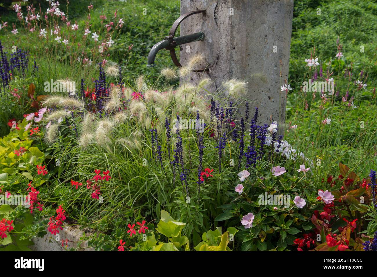 Mesmerizing shot of colorful flowers in the garden Stock Photo - Alamy