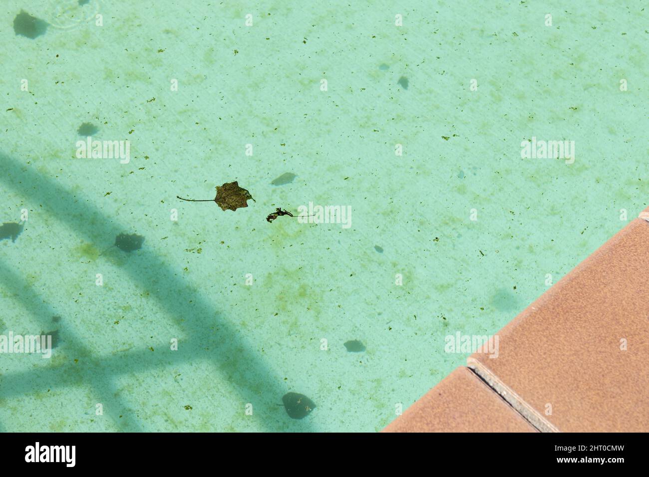 Closeup of a dirty swimming pool background Stock Photo - Alamy