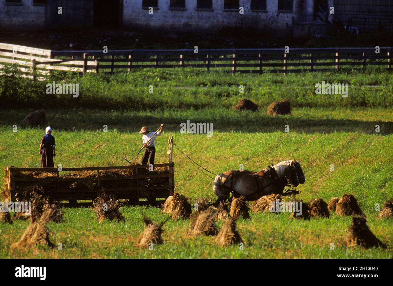 Amish Farming Methods