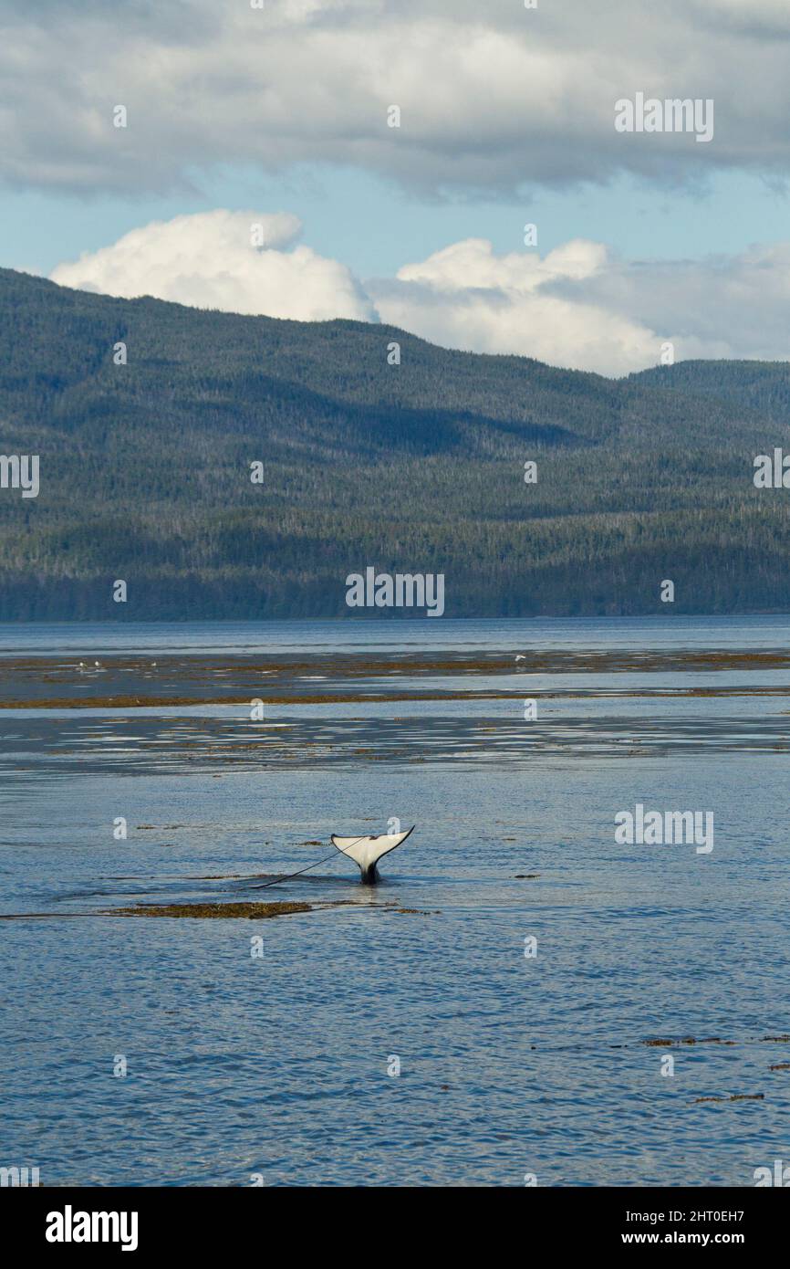 Prince fredericks sound hi-res stock photography and images - Alamy