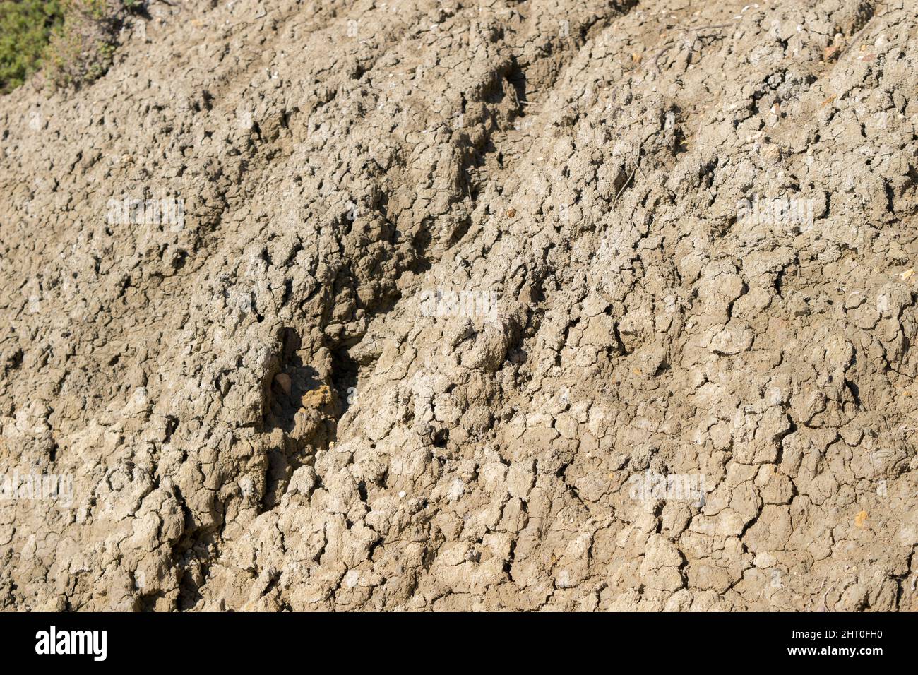 Steep blue clay slopes, with flaking debris forming scree on limestone ...