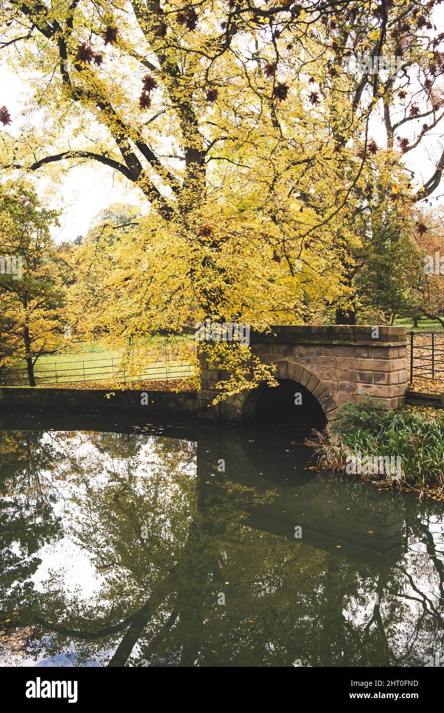 The priory of the orange tree hi-res stock photography and images - Alamy