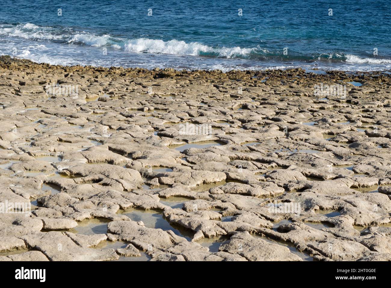 Limestone wave-cut platform along coast of Delimara - coastal ...