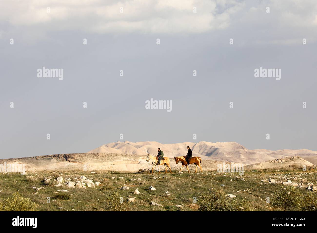Horse at sunset with South Brazil, Countryside nature - Ranch Stock ...