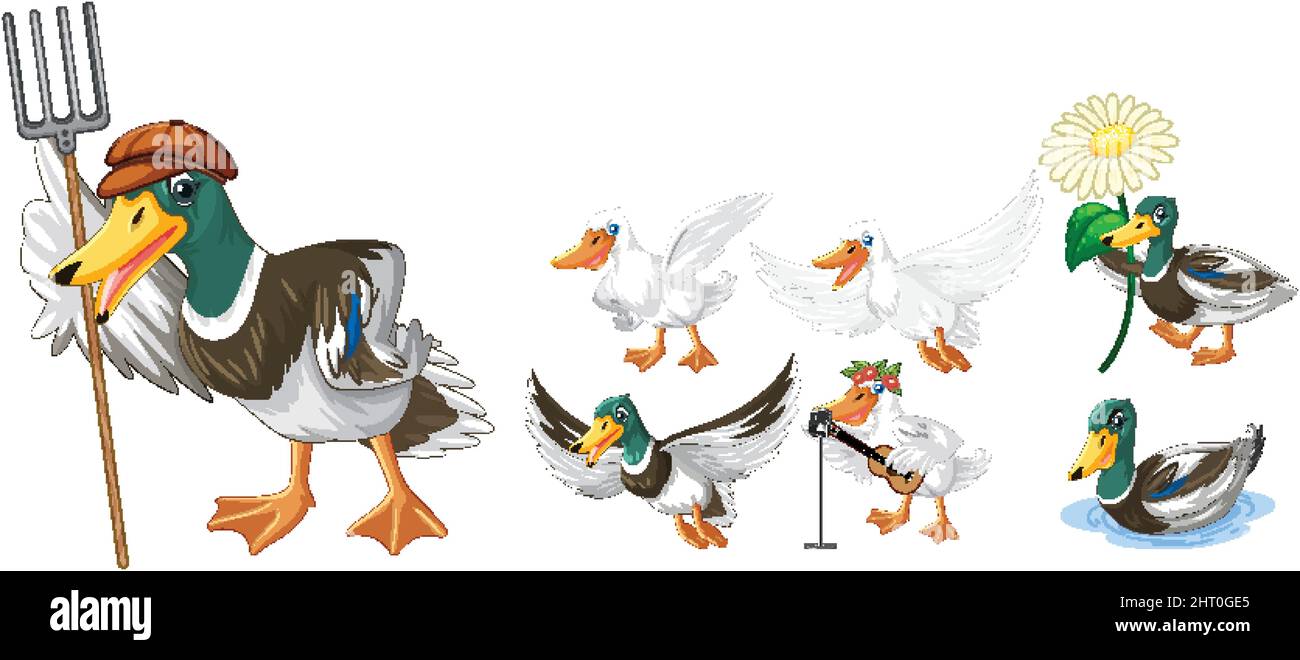Set of different poses of ducks cartoon characters illustration Stock ...