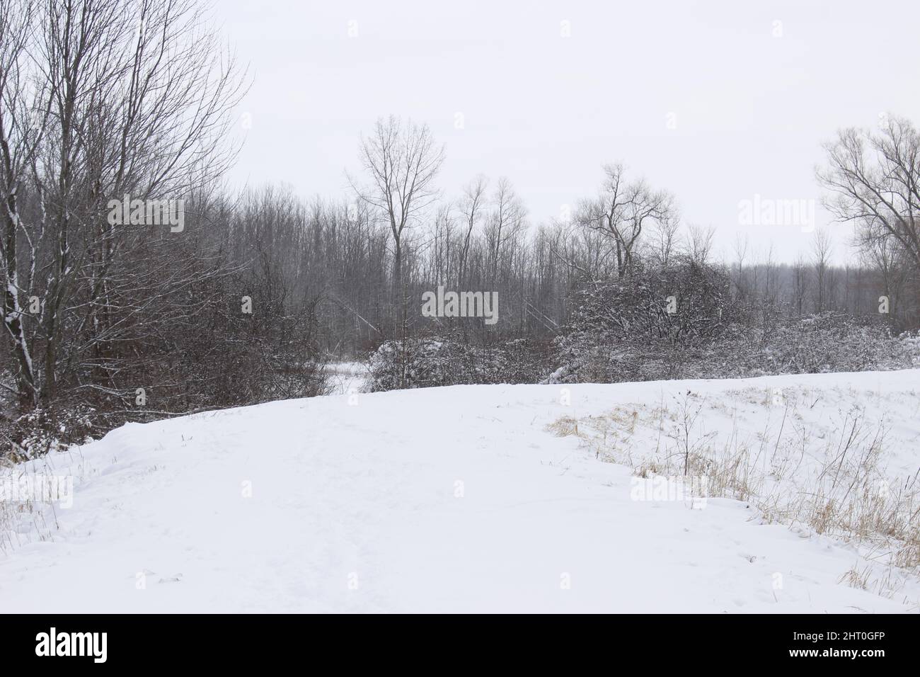 Beautiful shot of a curved dirt road completely covered in snow during ...