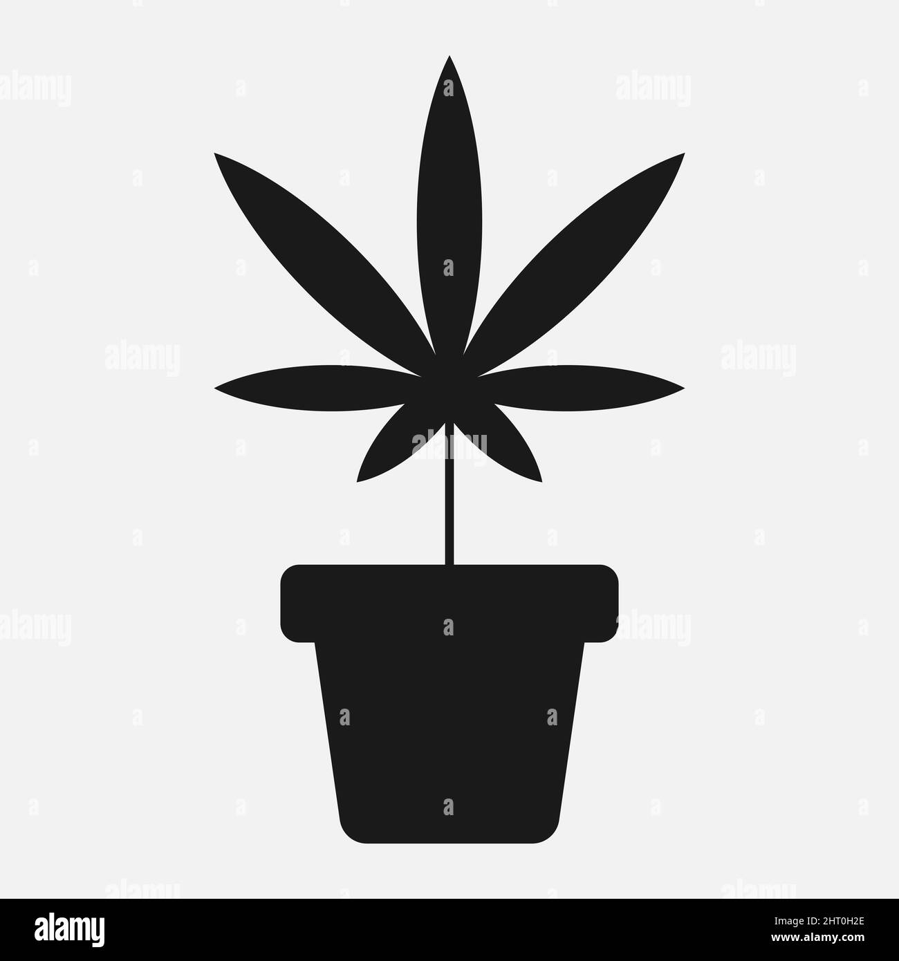 Hemp growing Black and White Stock Photos & Images - Alamy