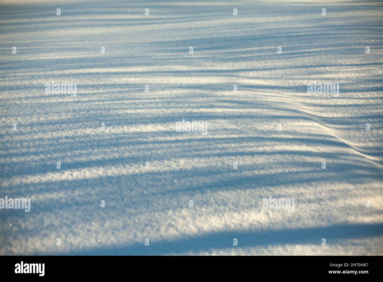 Snow in winter. Texture of snow cover. Surface of cold layer of ...