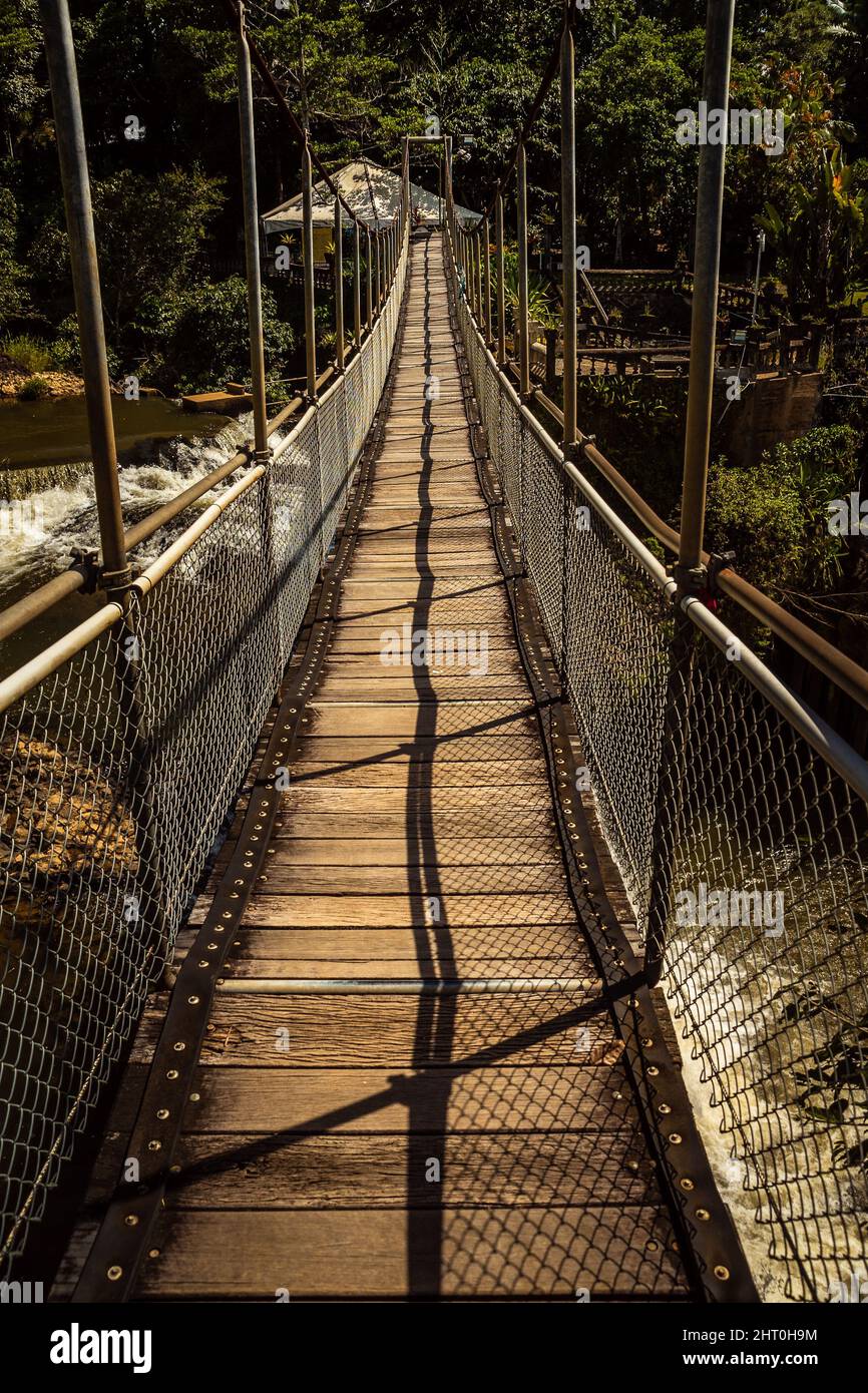 Canopy walkways provide pedestrian access to a forest canopy Stock ...