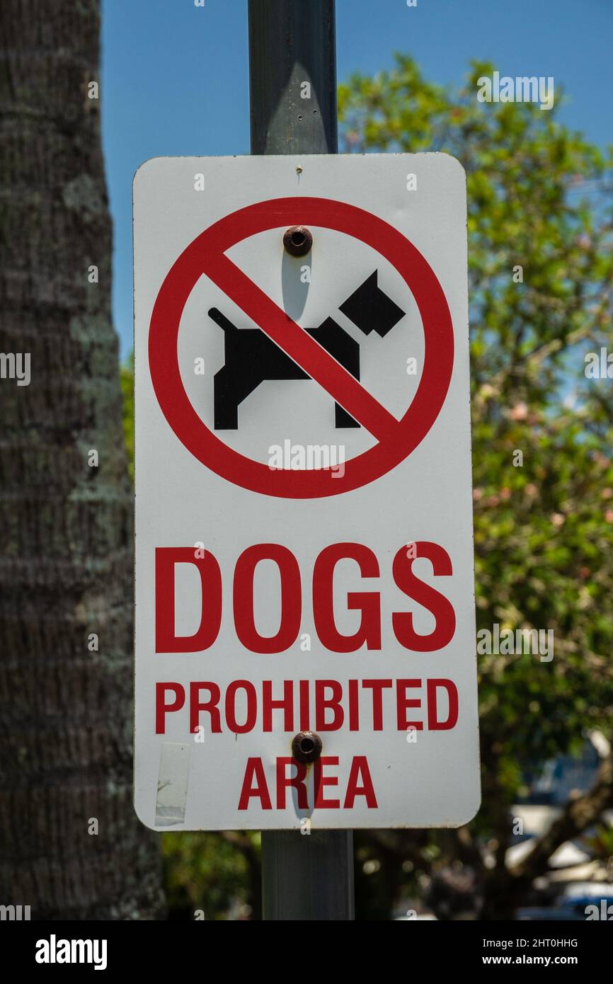 Dogs prohibited are sign Stock Photo - Alamy