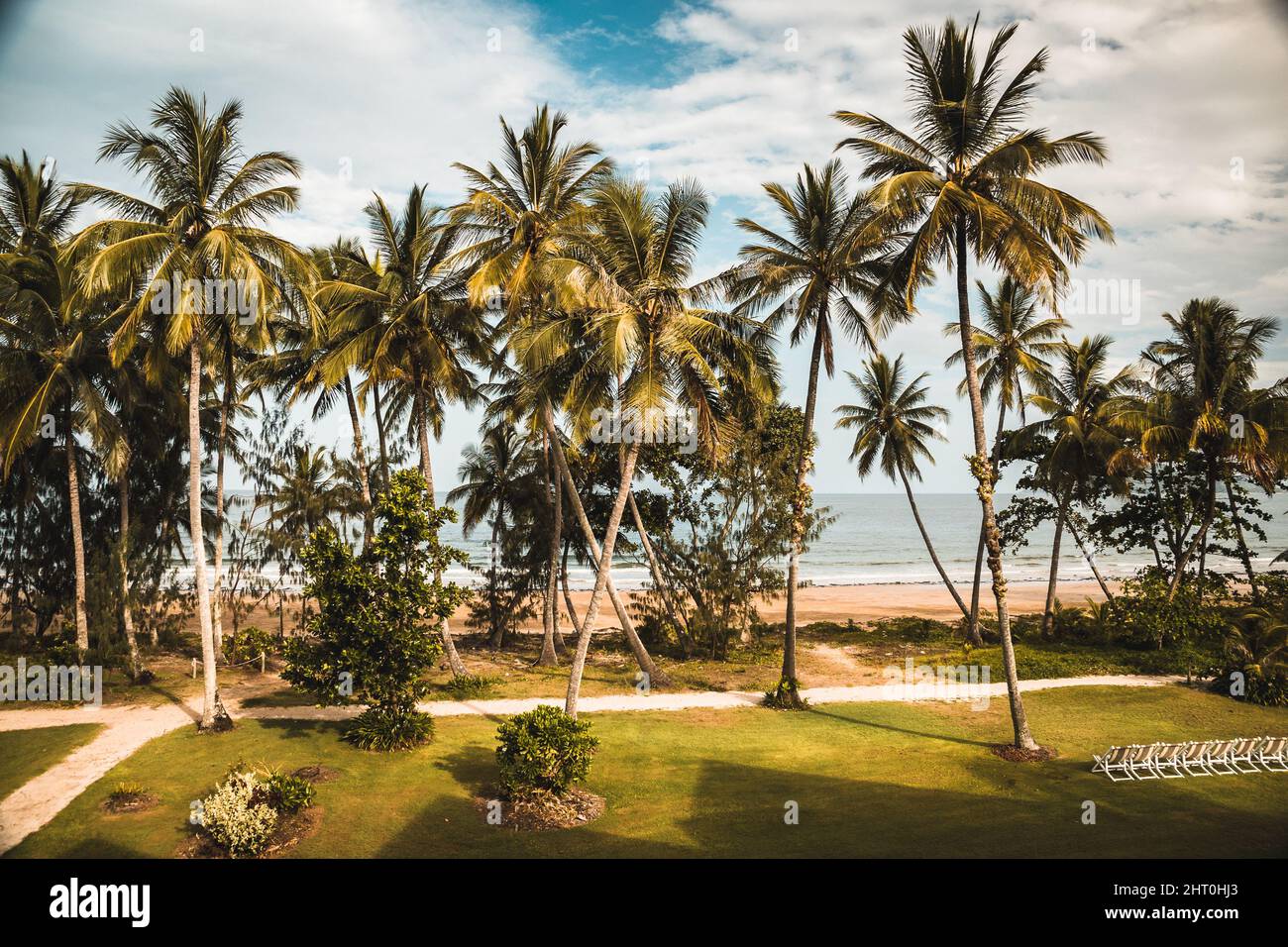Beautiful palm beach scene Stock Photo - Alamy