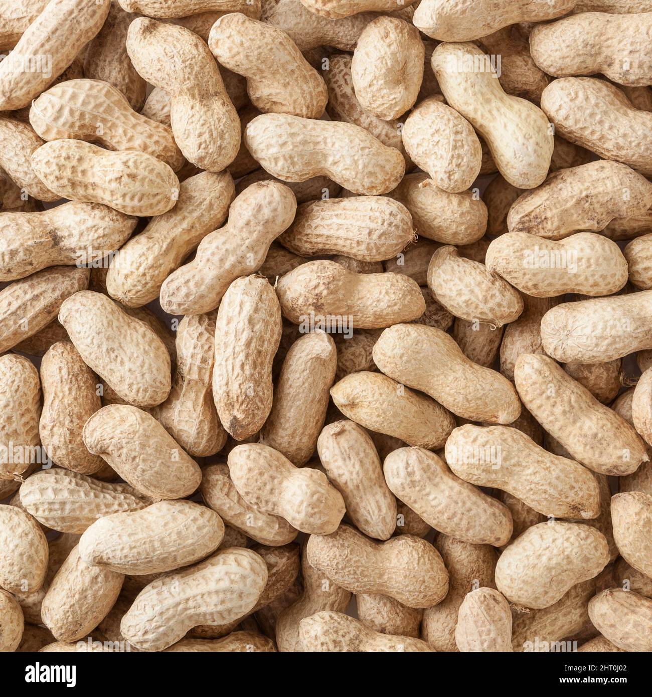 Raw unpeeled peanuts background Stock Photo - Alamy