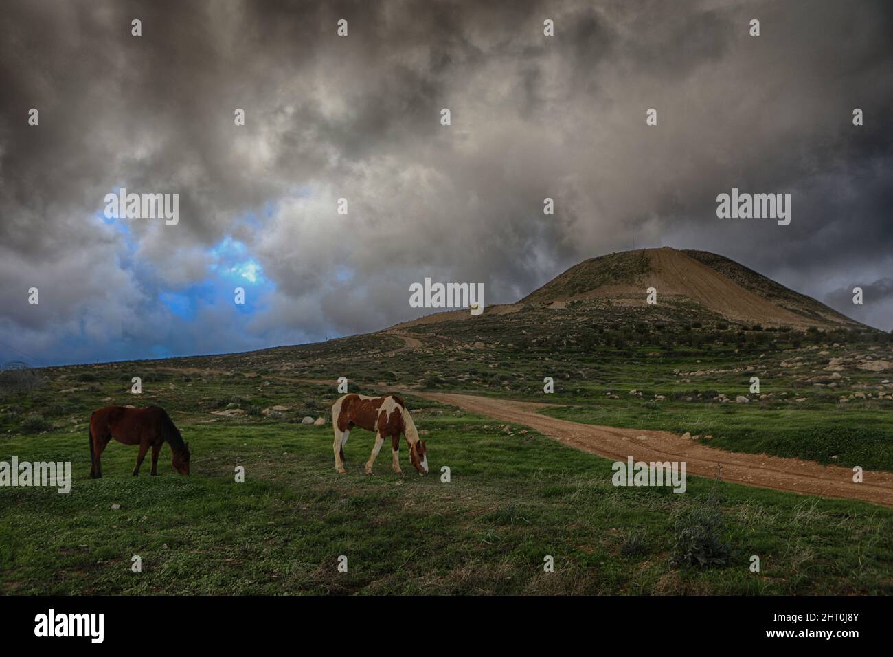 Brazil countryside hi-res stock photography and images - Alamy
