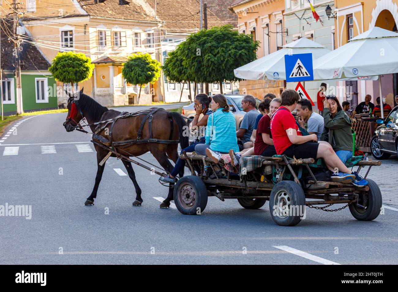 Vintage horse cart farmer hi-res stock photography and images - Alamy
