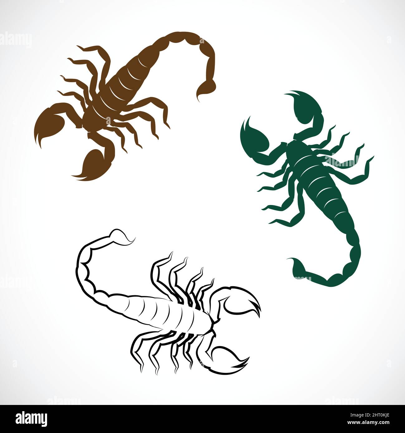 Vector image of scorpion on white background. Easy editable layered ...